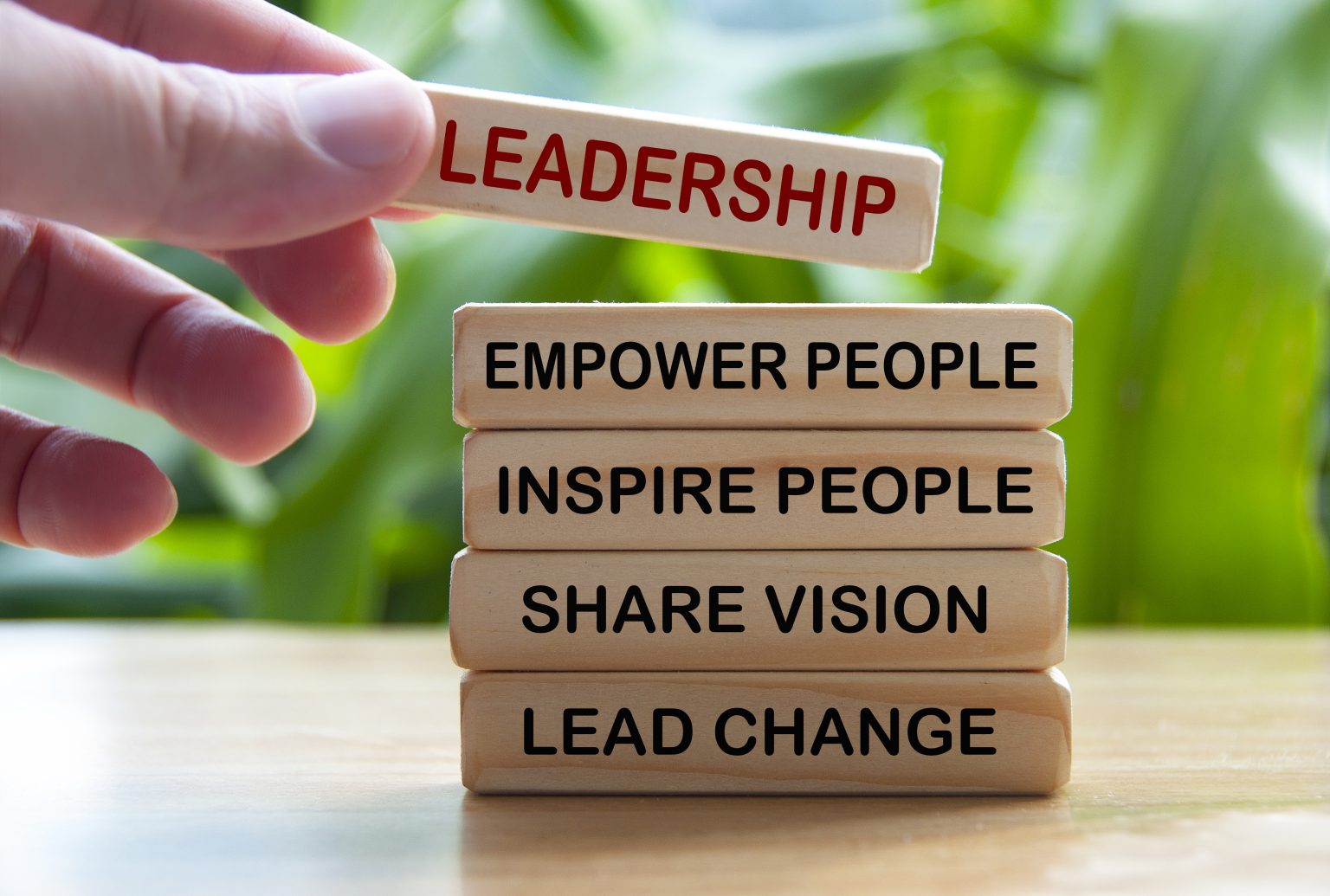 Brain-Based Leadership: Ambition and Well-Being in the Workplace ...